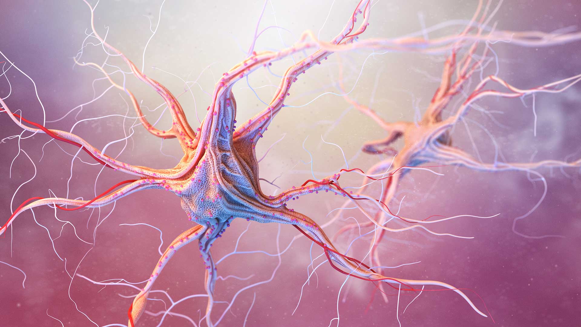 Epilepsy | ROW Global